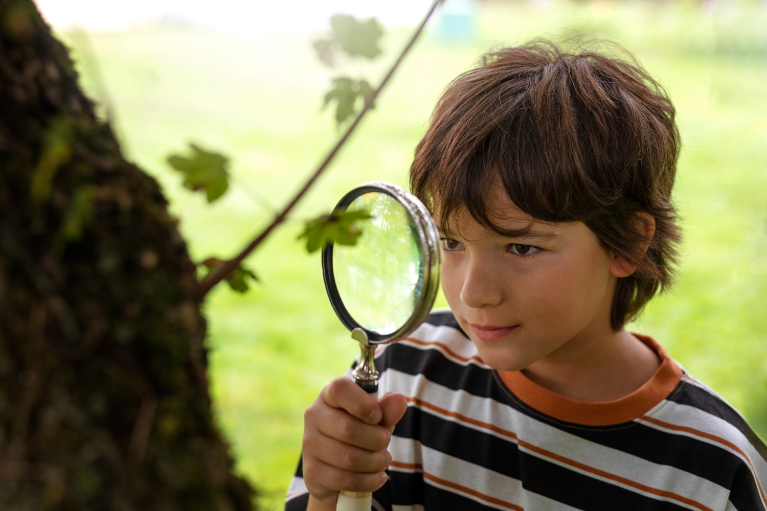 Fomentando la Curiosidad y el Conocimiento en Niños: Estrategias ...